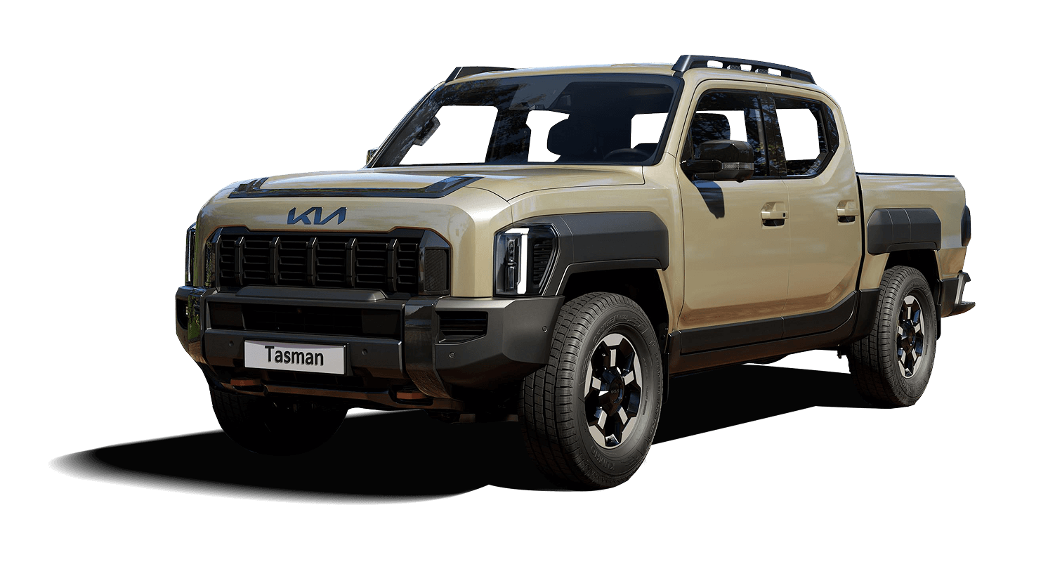 Tasman · Movement that inspires